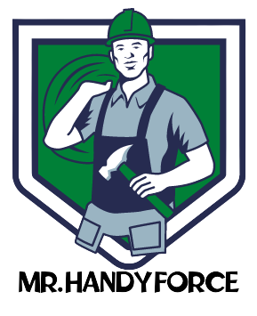 Cleaning Service - Mr. Handy Force
